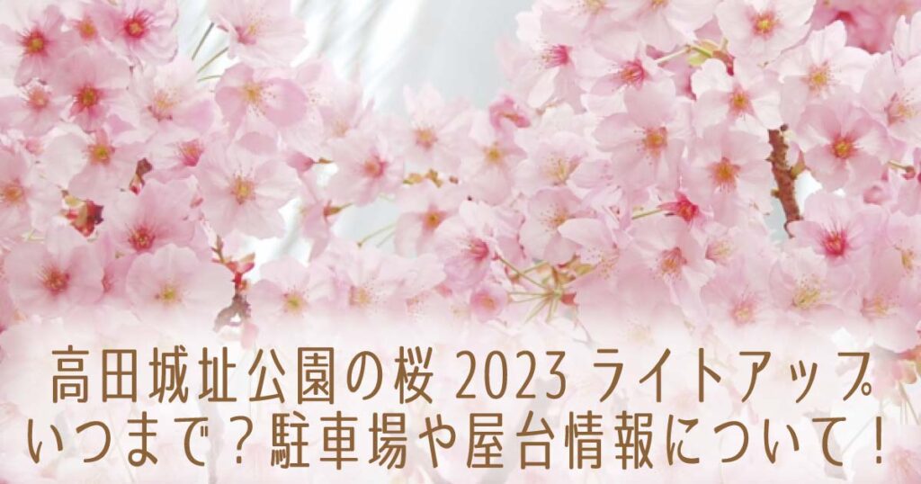 moosic-lab | ※当サイトはアフェリエイト広告を利用しています