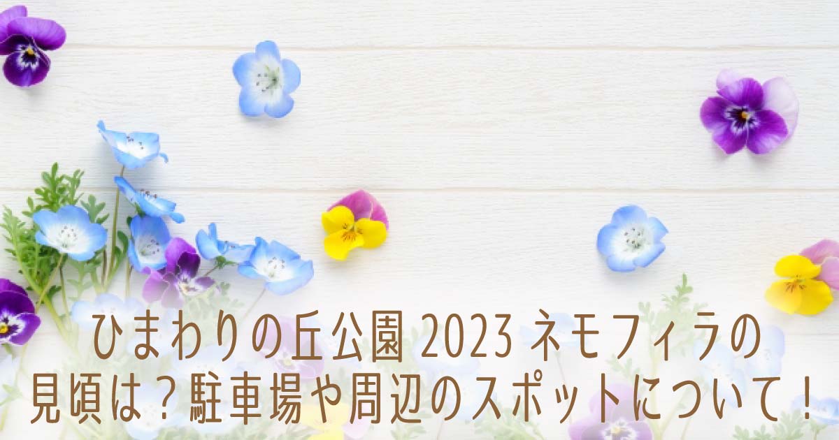 moosic-lab | ※当サイトはアフェリエイト広告を利用しています
