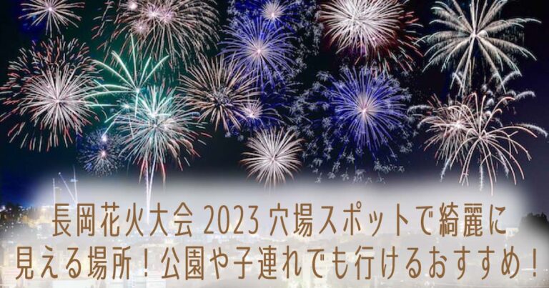 長岡花火大会2023穴場スポットで綺麗に見える場所！公園や子連れでも行けるおすすめ！ | moosic-lab