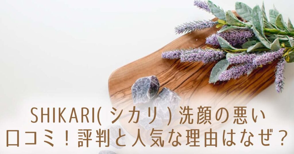 moosic-lab | ※当サイトはアフェリエイト広告を利用しています