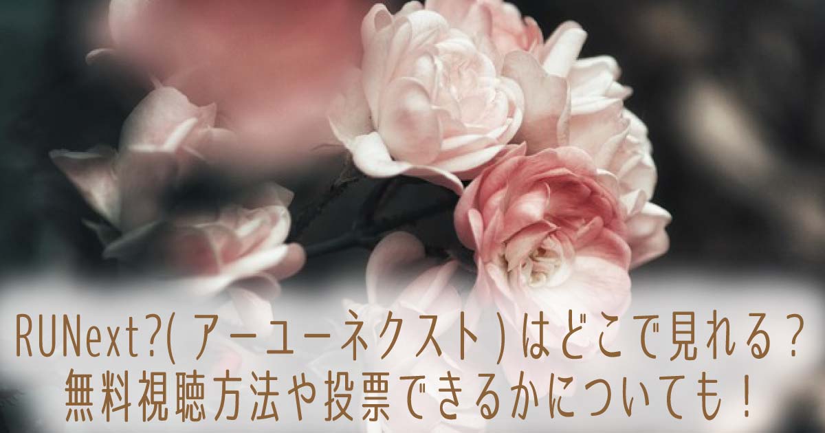 RUNext?(アーユーネクスト)はどこで見れる？無料視聴方法や投票できるかについても！ | moosic-lab