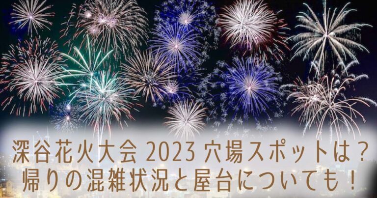 深谷花火大会2023穴場スポットは？帰りの混雑状況と屋台についても！ | moosic-lab