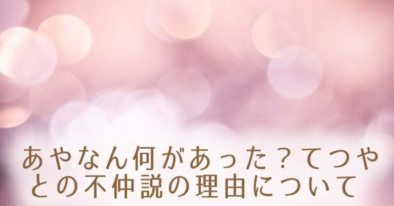 あやなん何があった？てつやとの不仲説の理由について | moosic-lab